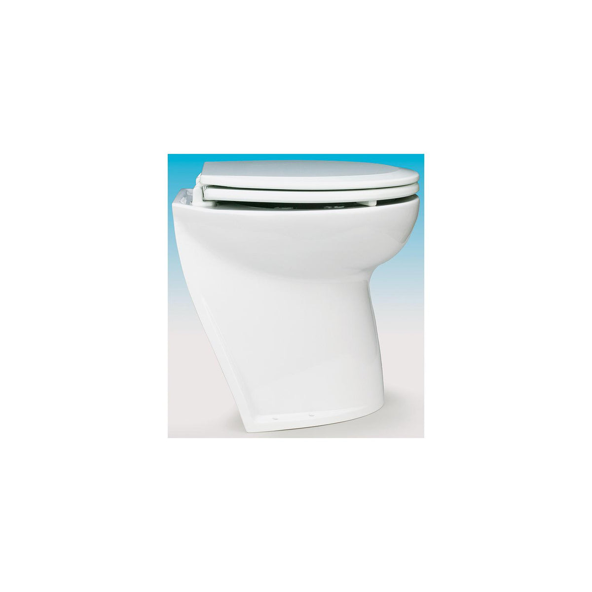 Deluxe Slant Back Electric Flush Toilet w/Raw Water Rinse, , 58260-1012 ...