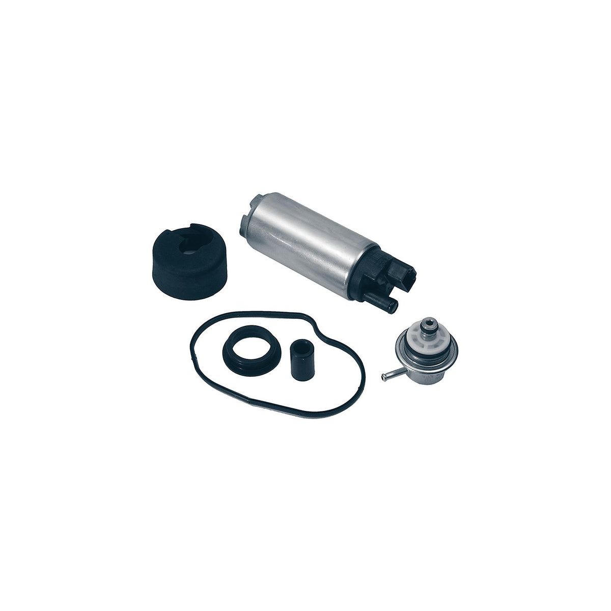 Quicksilver 866169T01 Electric Fuel Pump/Regulator Kit – Mrosupreme.com