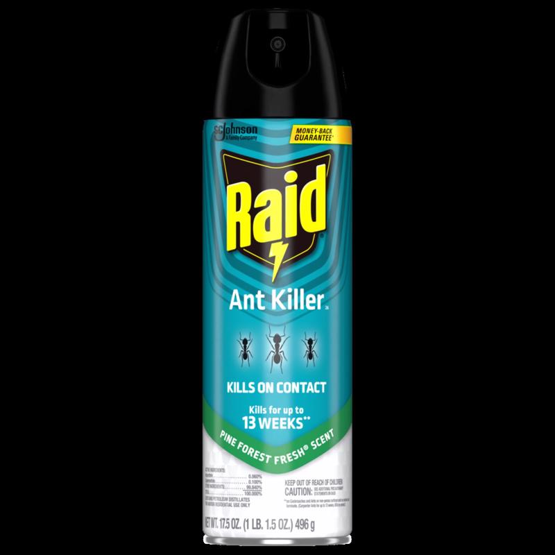 Raid Ant Killer Aerosol 17.5 oz – Mrosupreme.com