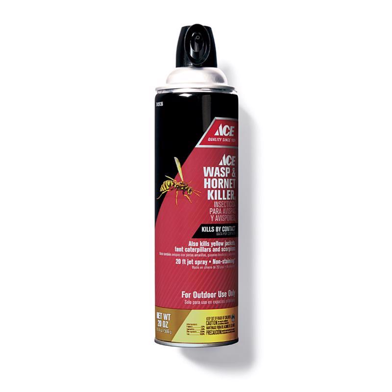 Ace Wasp and Hornet Killer Liquid 17.5 oz, Pack of 12 – Mrosupreme.com