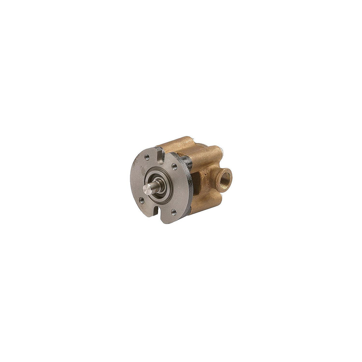 Kohler Seawater Pump - G8001 – Mrosupreme.com