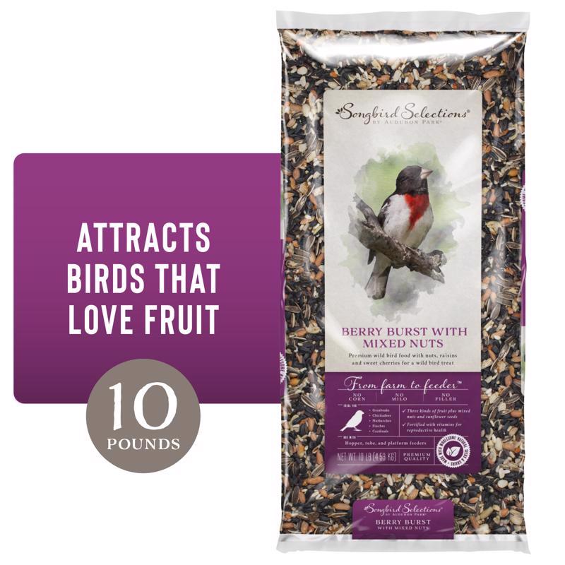 Songbird Selections Wild Bird Nuts Bird Seed 10 lb – Mrosupreme.com